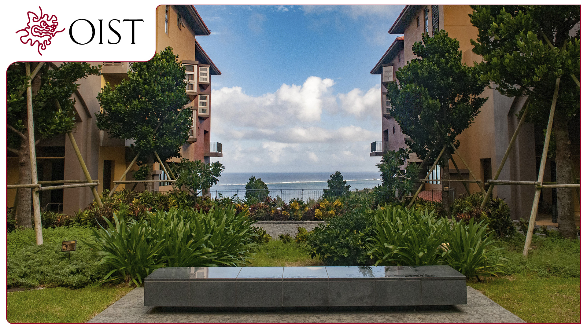 Program | OIST Groups